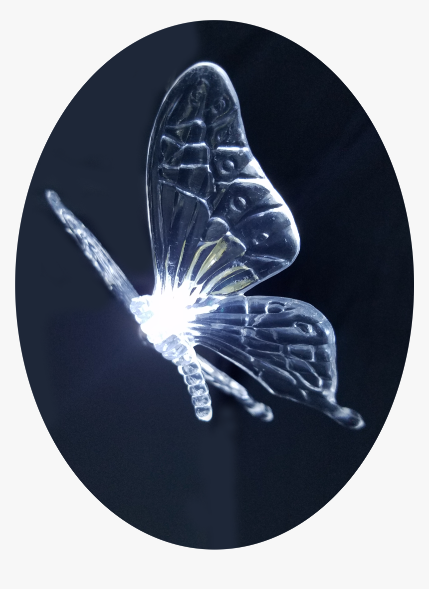 Fairy Butterfly 12 X White Colour Led String Lights - Insect, HD Png ...
