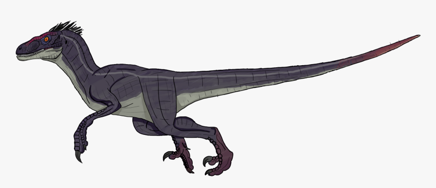 Jurassic Park 3 Male Velociraptor Clipart , Png Download - Jurassic ...
