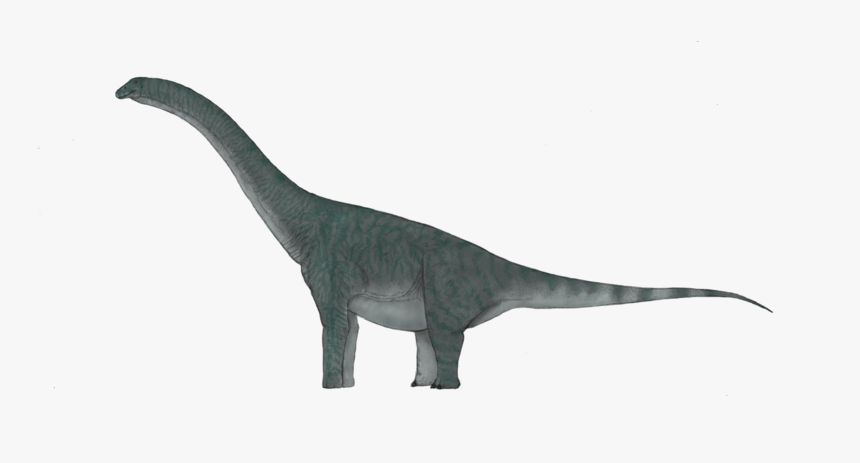 Sauropod Background Png - Tyrannosaurus, Transparent Png , Transparent ...