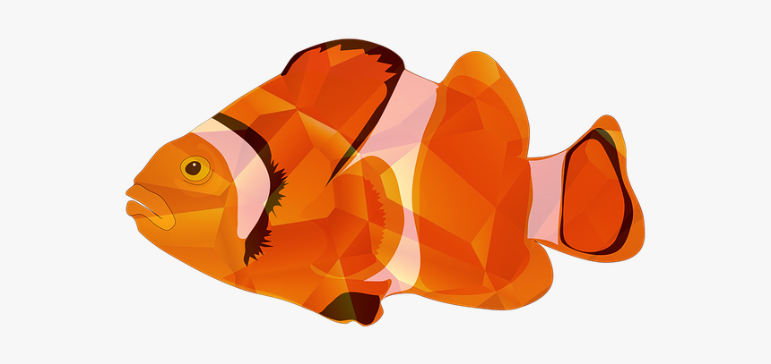 Fish, Fishing, Types Of Fishing, Fishing Cartoon - Fish Pdf, HD Png ...