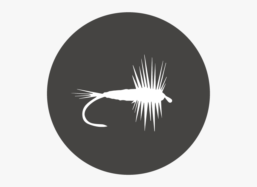 Fly Fishing Png - Shrimp, Transparent Png , Transparent Png Image - PNGitem