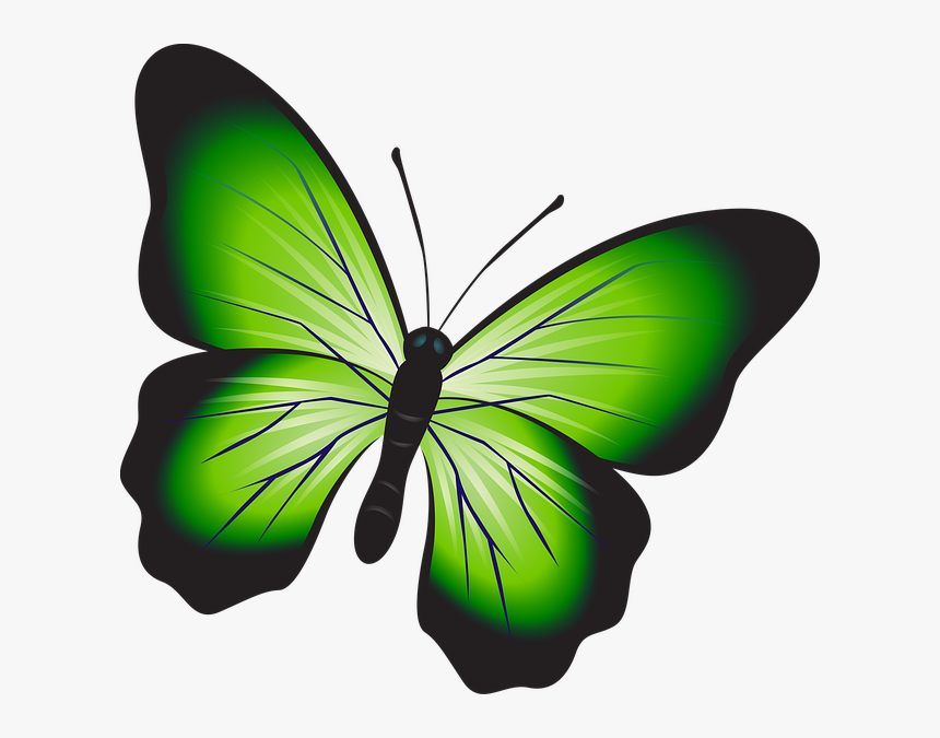 Fluturi Verzi, HD Png Download , Transparent Png Image - PNGitem
