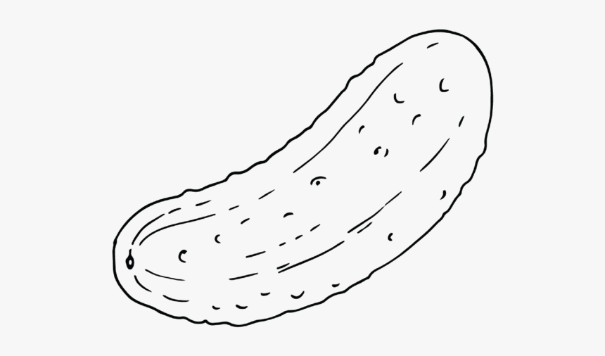 How To Draw A Cucumber Step By Step Pencil Drawing