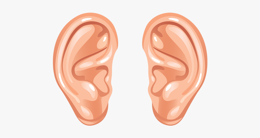 Ear Download Png - Human Ear Ear Clip Art, Transparent Png ...