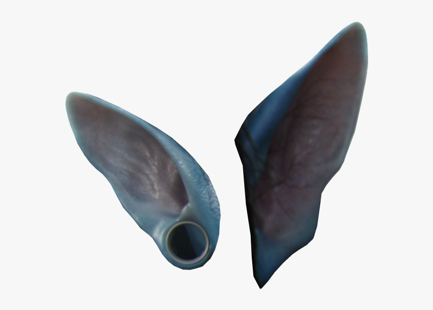 Transparent Ear Png - Avatar Na Vi Ears, Png Download , Transparent Png ...