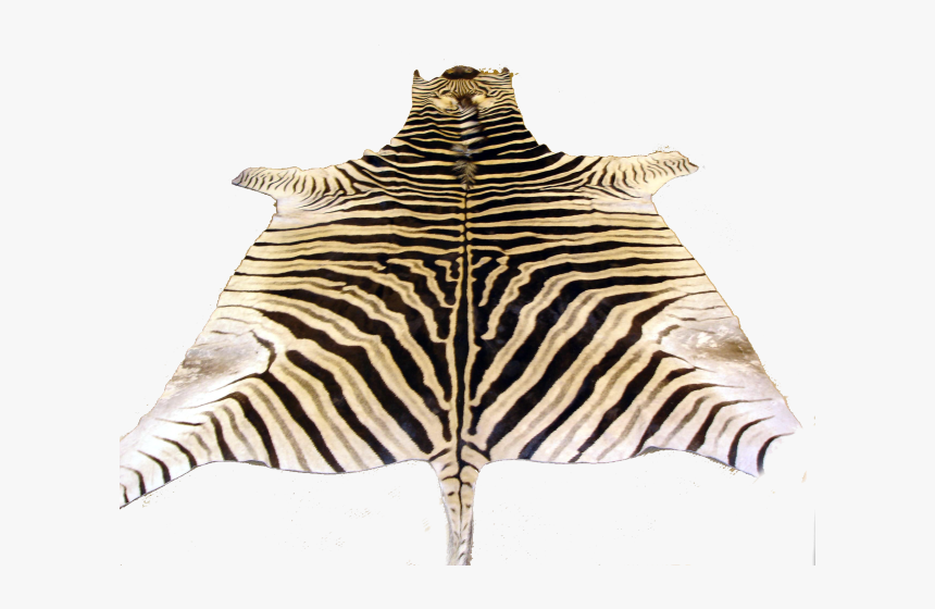 Transparent Rug Png - Pattern, Png Download , Transparent Png Image ...