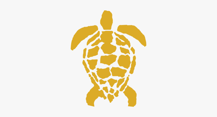 Vonu Beer, HD Png Download , Transparent Png Image - PNGitem