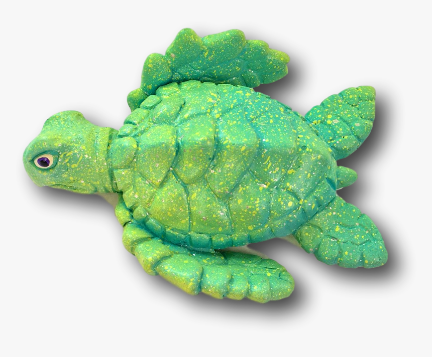 Olive Ridley Sea Turtle, HD Png Download , Transparent Png Image - PNGitem