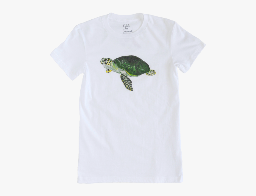 Green Sea Turtle, HD Png Download , Transparent Png Image - PNGitem
