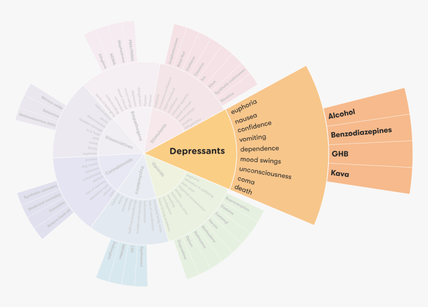 Drug Wheel Segment - Construction Paper, HD Png Download , Transparent ...