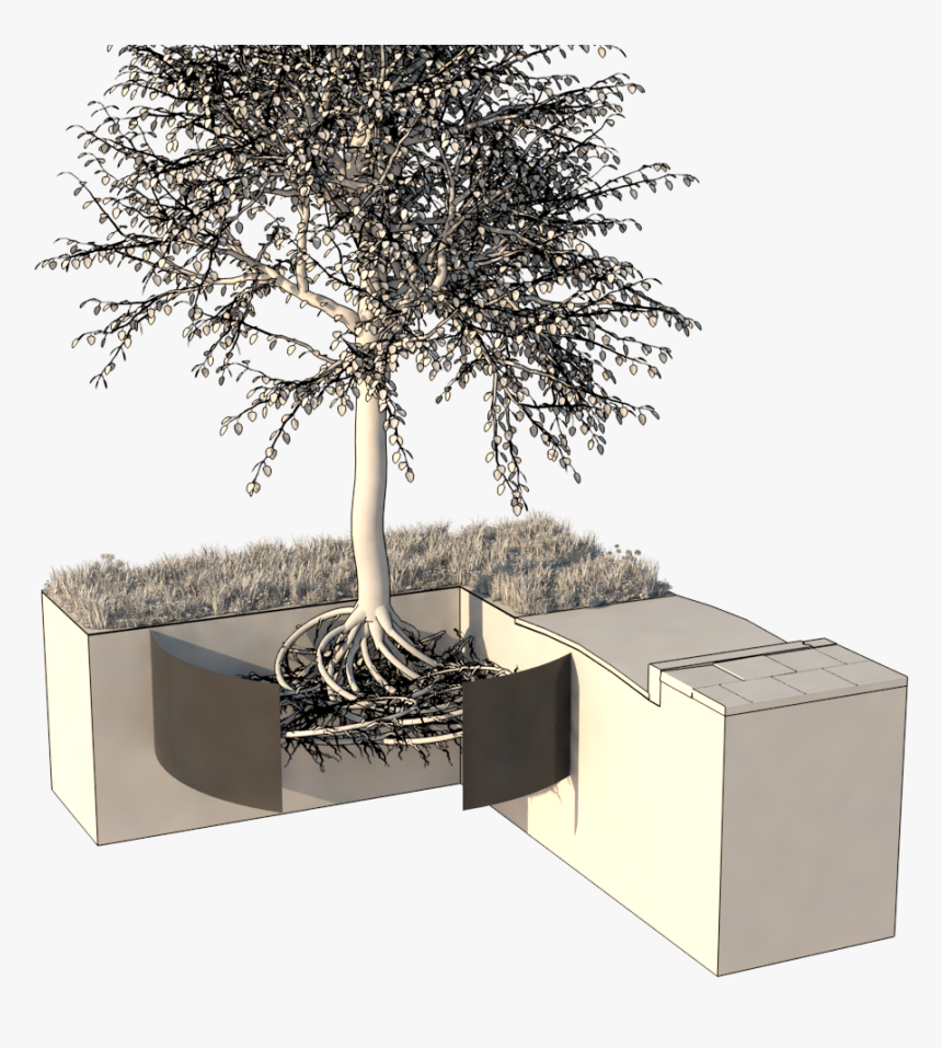 Transparent Tree Roots Png - Architecture, Png Download , Transparent ...