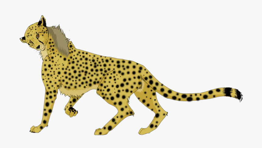Running Cheetah Png Background Image - Cheetah, Transparent Png ...
