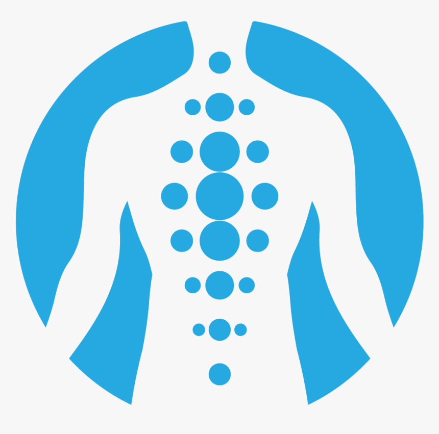 Chiropractic Spine Clipart No Background