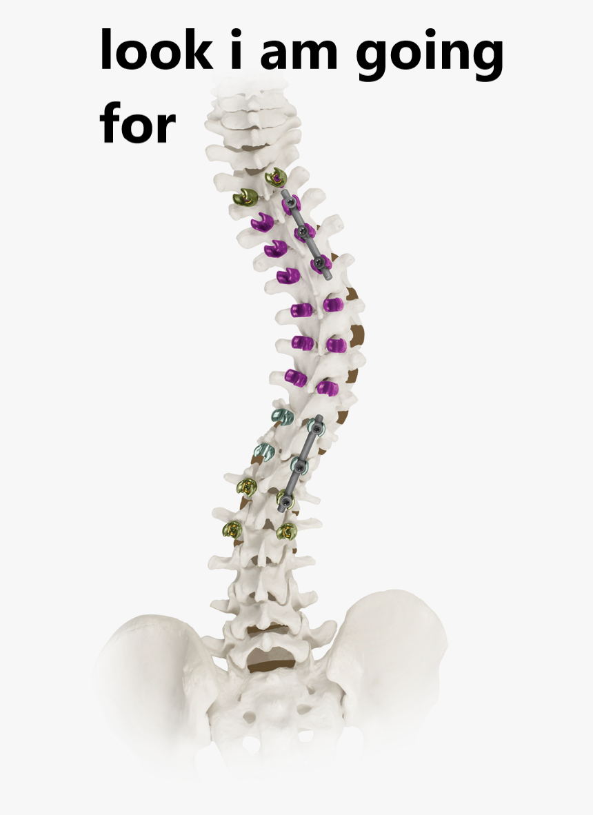 Aicup Endorsed, HD Png Download , Transparent Png Image - PNGitem