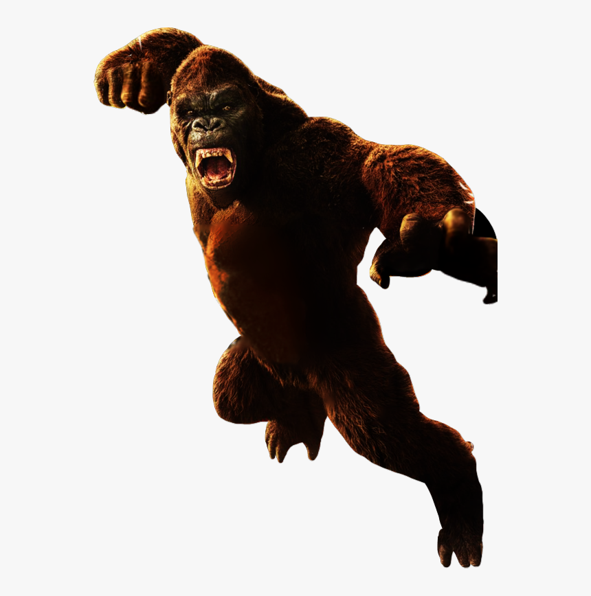 The Stuingtion And Hiatt Grey Cinematic Universe W - Kong Skull Island ...