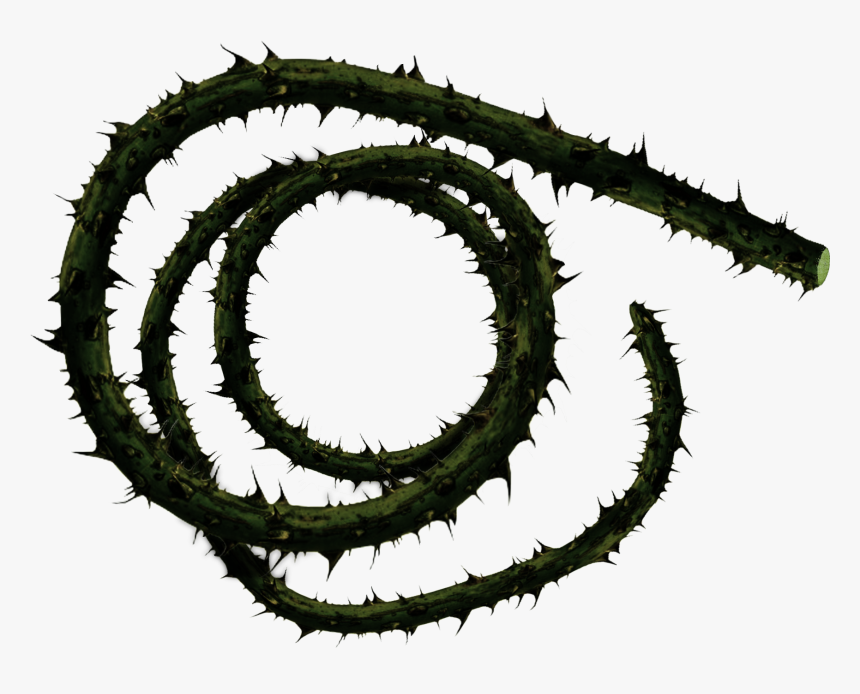 The Corpse Carrier Wields Creeping Death, A 10ft Long - Thorn Vine Png ...