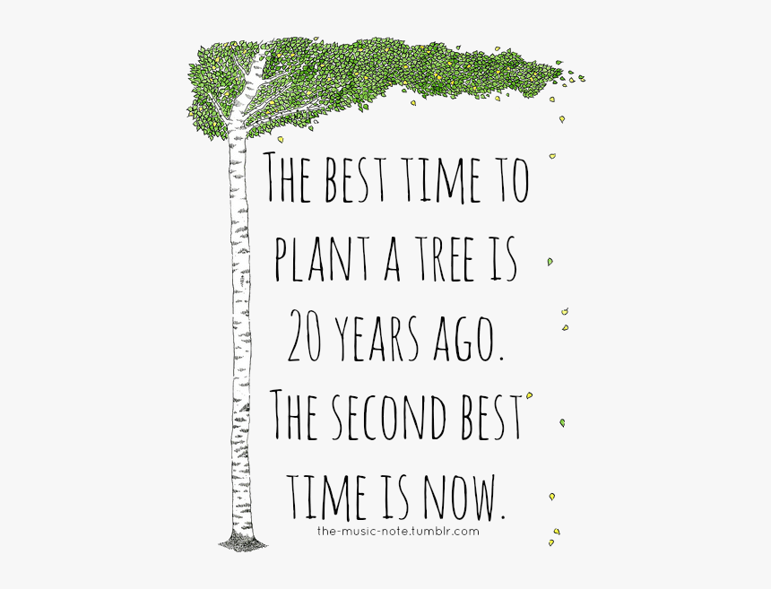 The Best Time To Plant A Tree Is Twenty Years Ago - Right Time To Plant ...