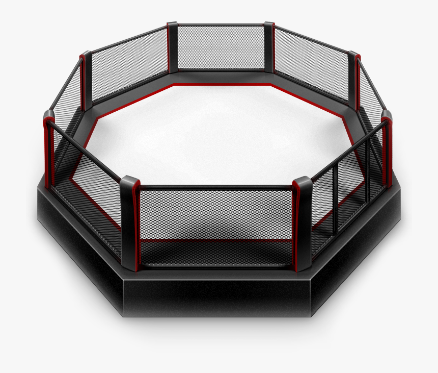 Octagon Fight Png, Transparent Png , Transparent Png Image - PNGitem