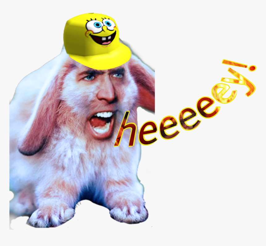 Nicolas Cage Rabbit