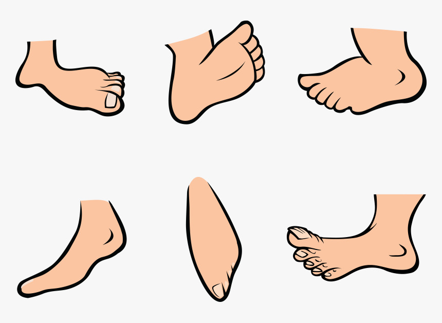 Foot Cartoon Pictures Of Feet Free Download Clipart - Feet Clipart, HD ...