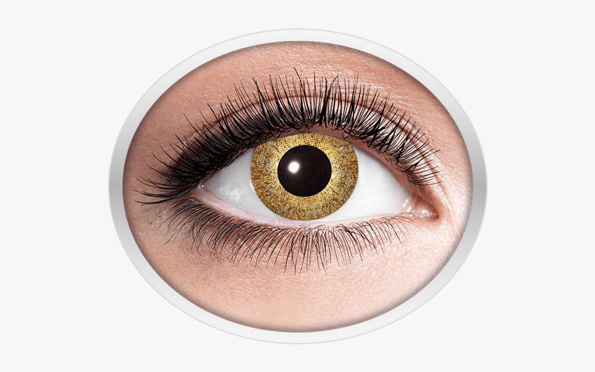Golden Contact Lenses - Contact Lenses With Rainbow, HD Png Download ...
