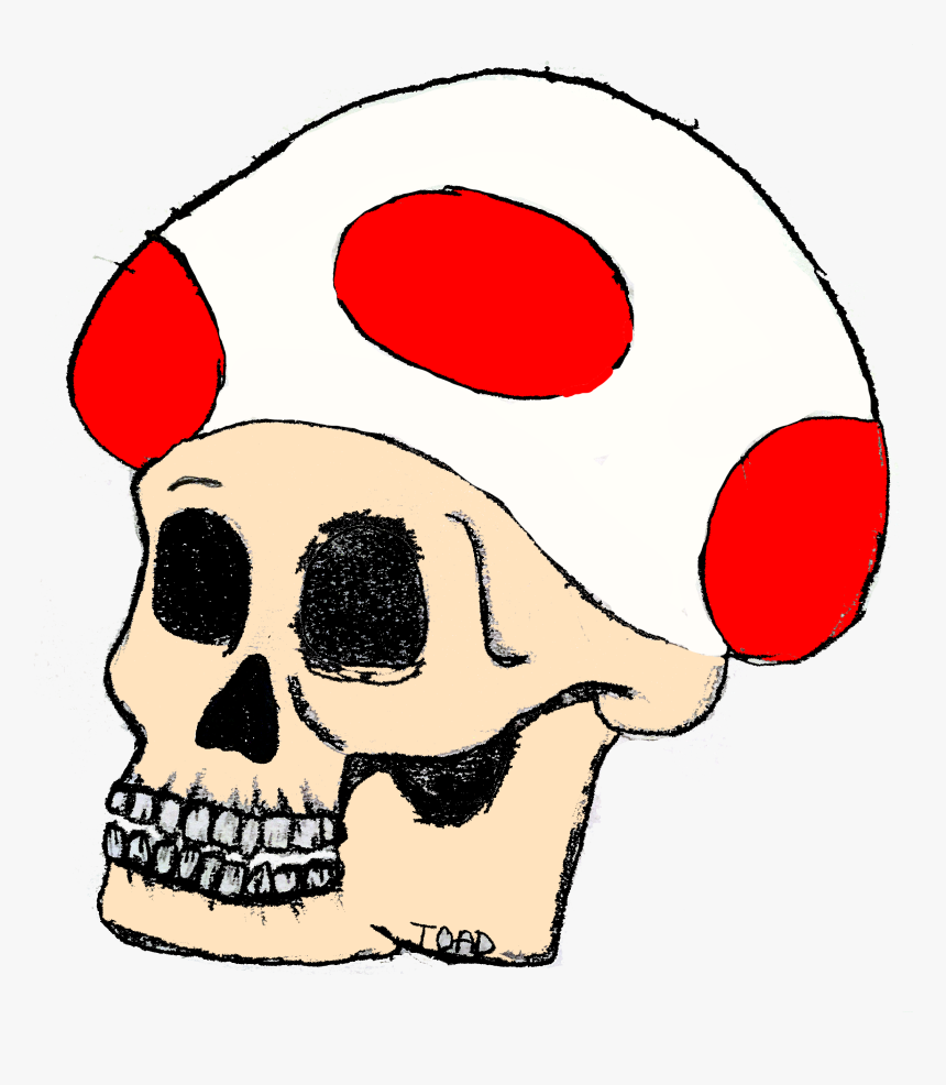 Toad's Head A Mushroom, HD Png Download , Transparent Png Image - PNGitem