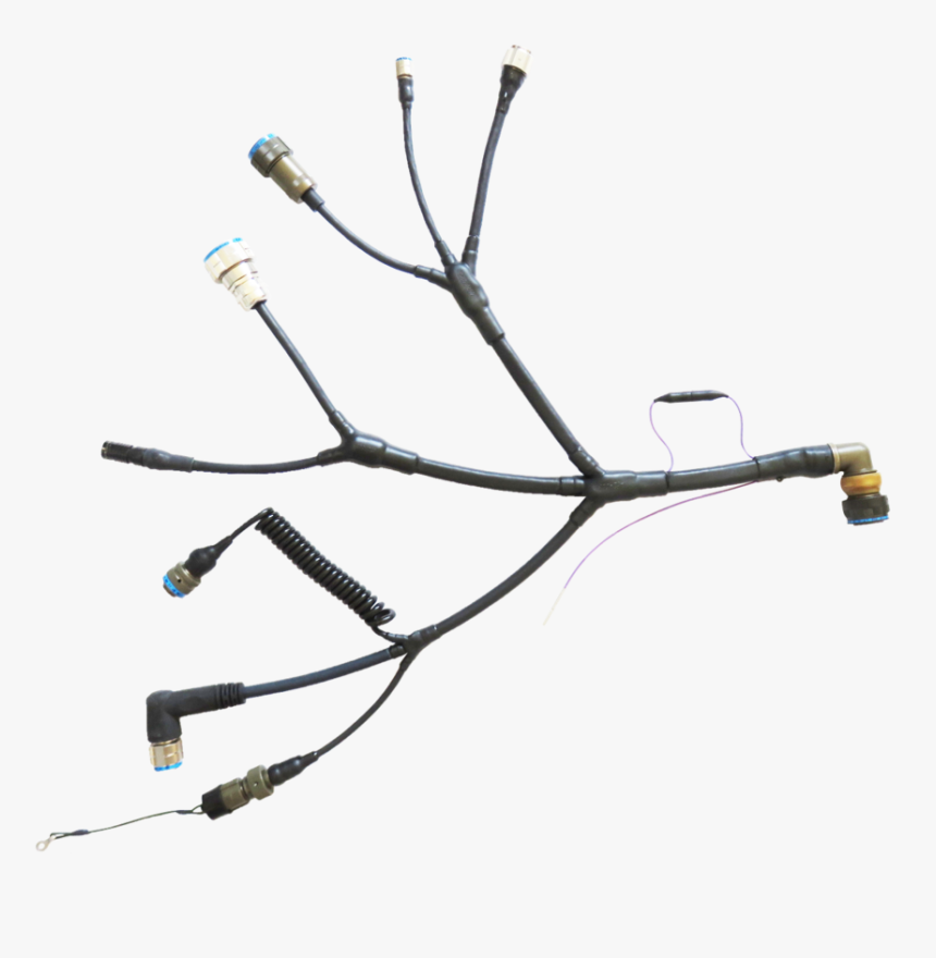 Transparent Electrical Wires Png - Twig, Png Download , Transparent Png ...