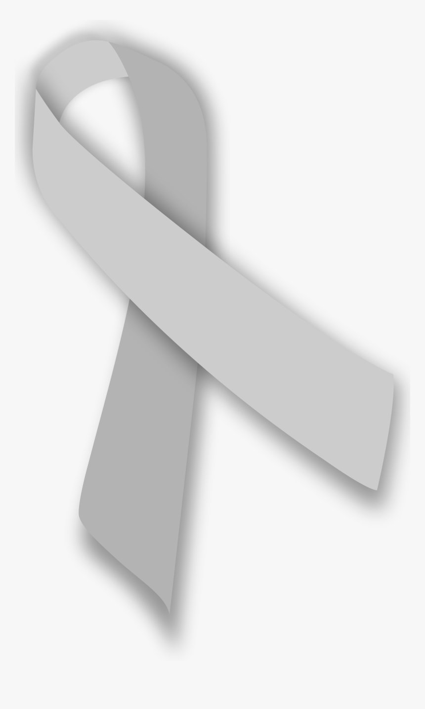 Silver Ribbon, HD Png Download , Transparent Png Image - PNGitem