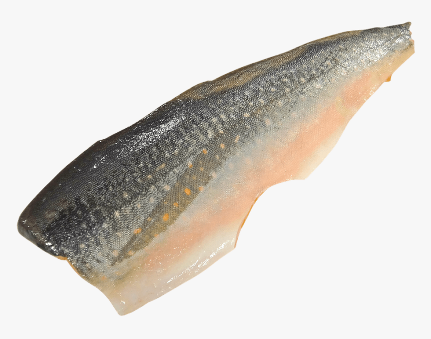 Salmon - Fish Fillets With Transparent Background, HD Png Download ...