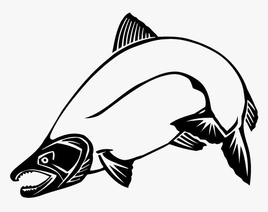Chinook Salmon Clip Art - Coho Salmon Clip Art, HD Png Download ...