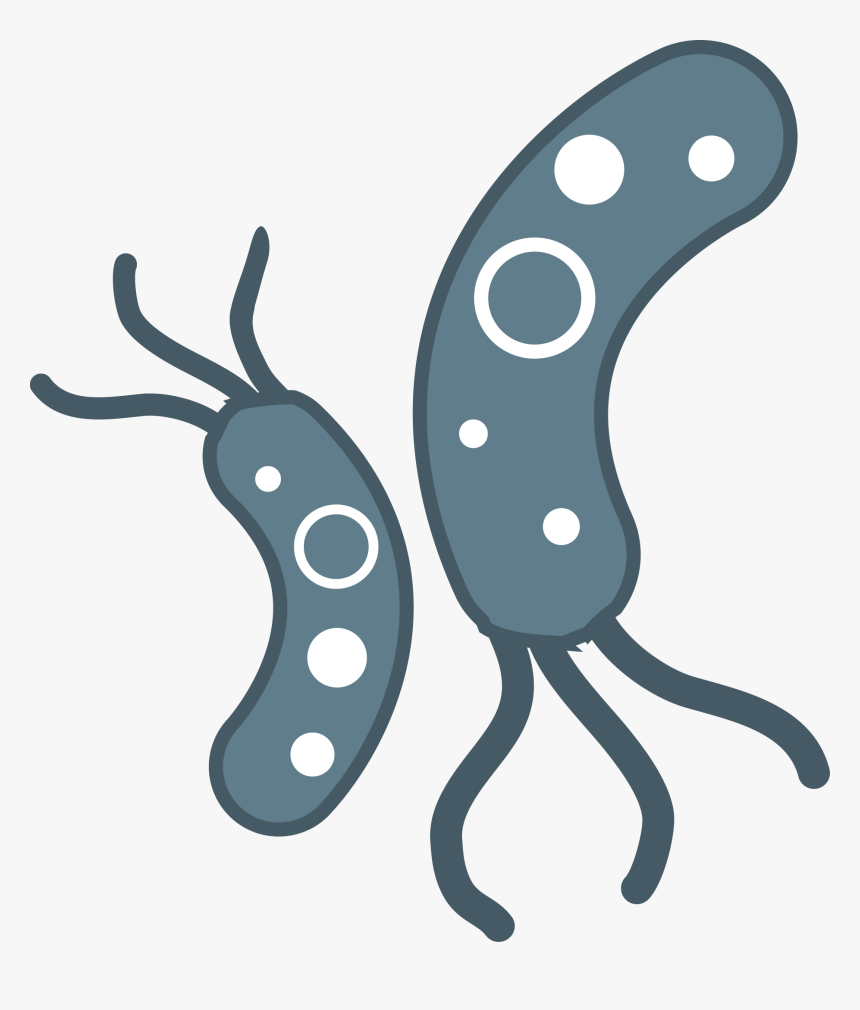 Bacteria Png, Transparent Png , Transparent Png Image - PNGitem