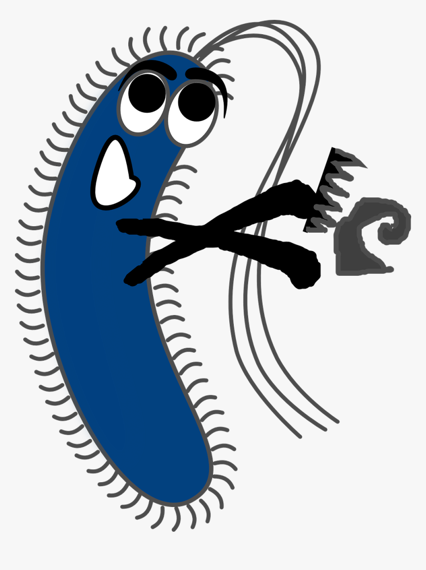 Gram Negative Bacteria Cartoon, HD Png Download , Transparent Png Image ...