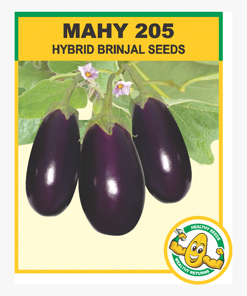 Mahyco, HD Png Download , Transparent Png Image - PNGitem