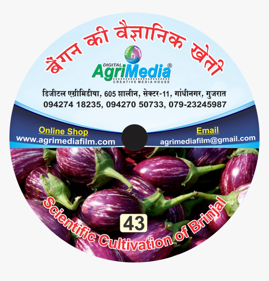 Bengan Ki Vaiganik Kheti - Eggplant, HD Png Download , Transparent Png ...