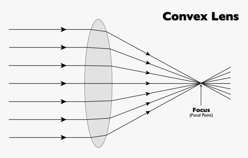 Transparent Point Of Light Png - Simple Convex Lens Diagram, Png ...