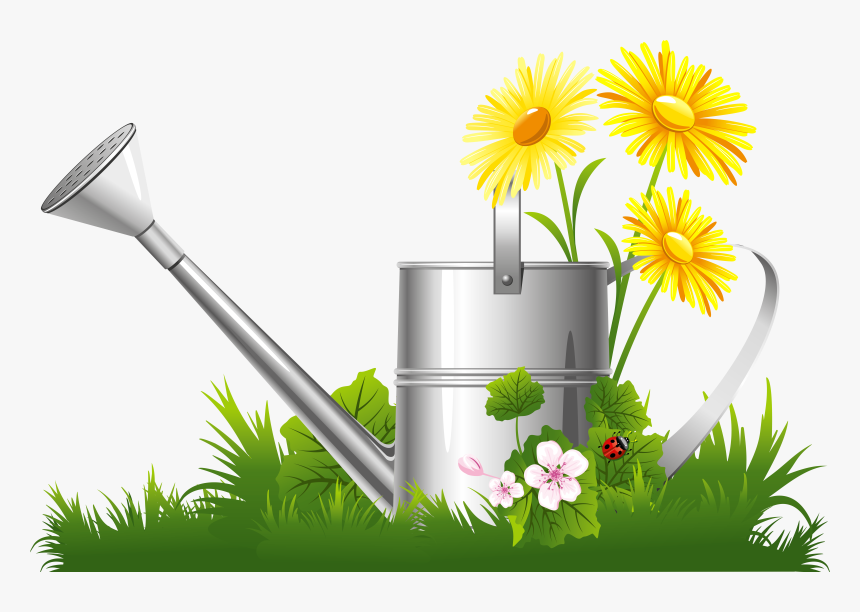 Spring Decoration With Water, HD Png Download , Transparent Png Image ...