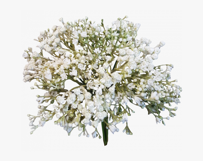 Baby Breath Flower Png - Baby Breath Flowers Png, Transparent Png , Transparent Png Image - PNGitem