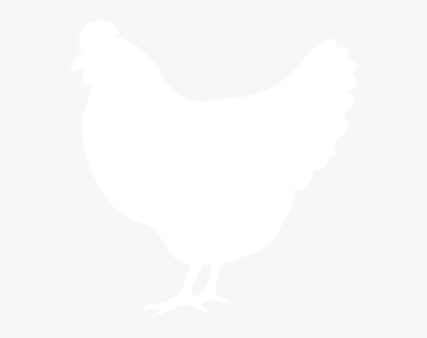 Broiler Chicken Logo, HD Png Download , Transparent Png Image - PNGitem