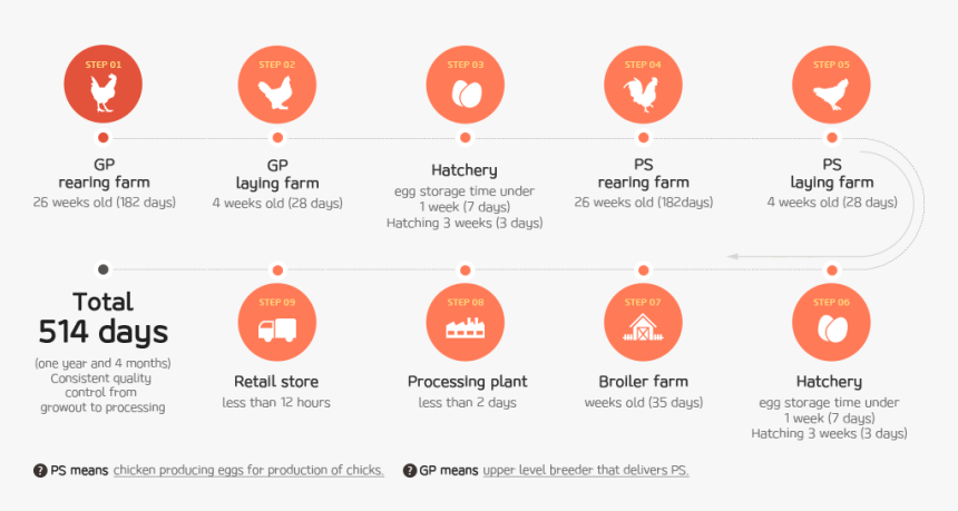 Chicken Production Process Of Vertical Integration - Poultry Production ...
