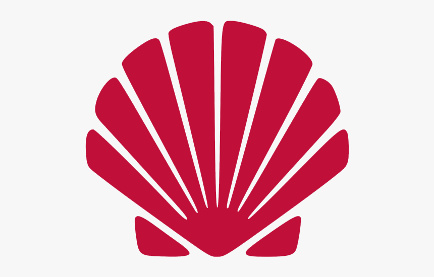 Shell Vector, HD Png Download , Transparent Png Image - PNGitem