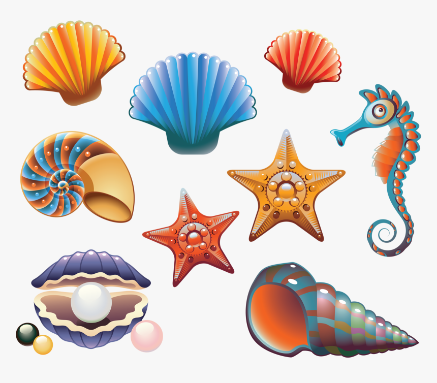 Beach Clipart Printable - Clam Shell Png Clipart, Transparent Png ...