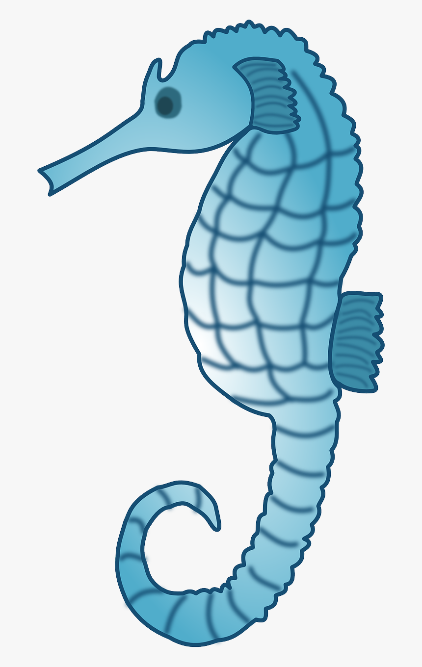 Pictures Of Seahorses Clipart