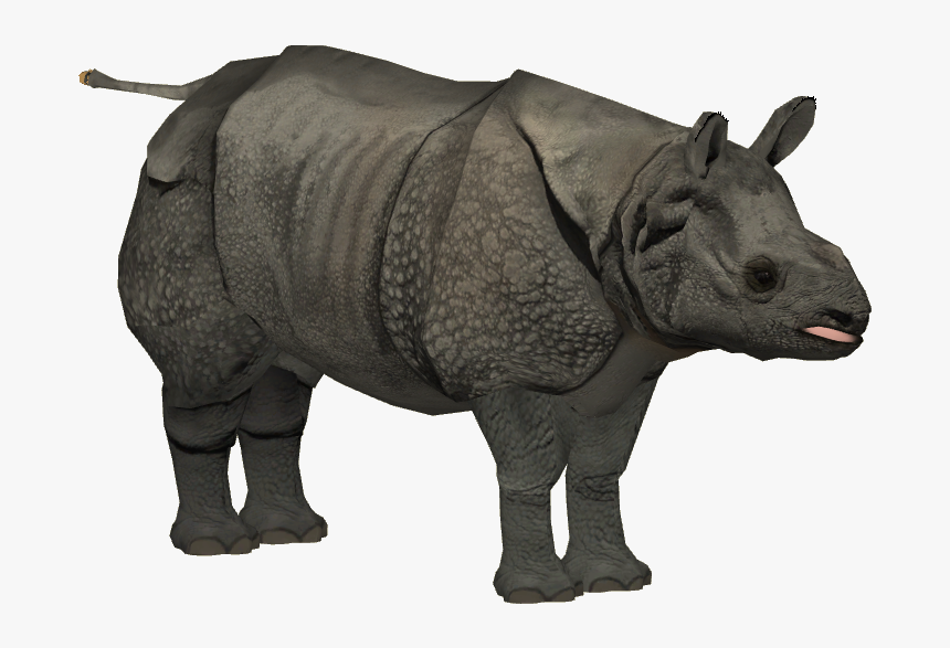 Javan Rhino Clip Art