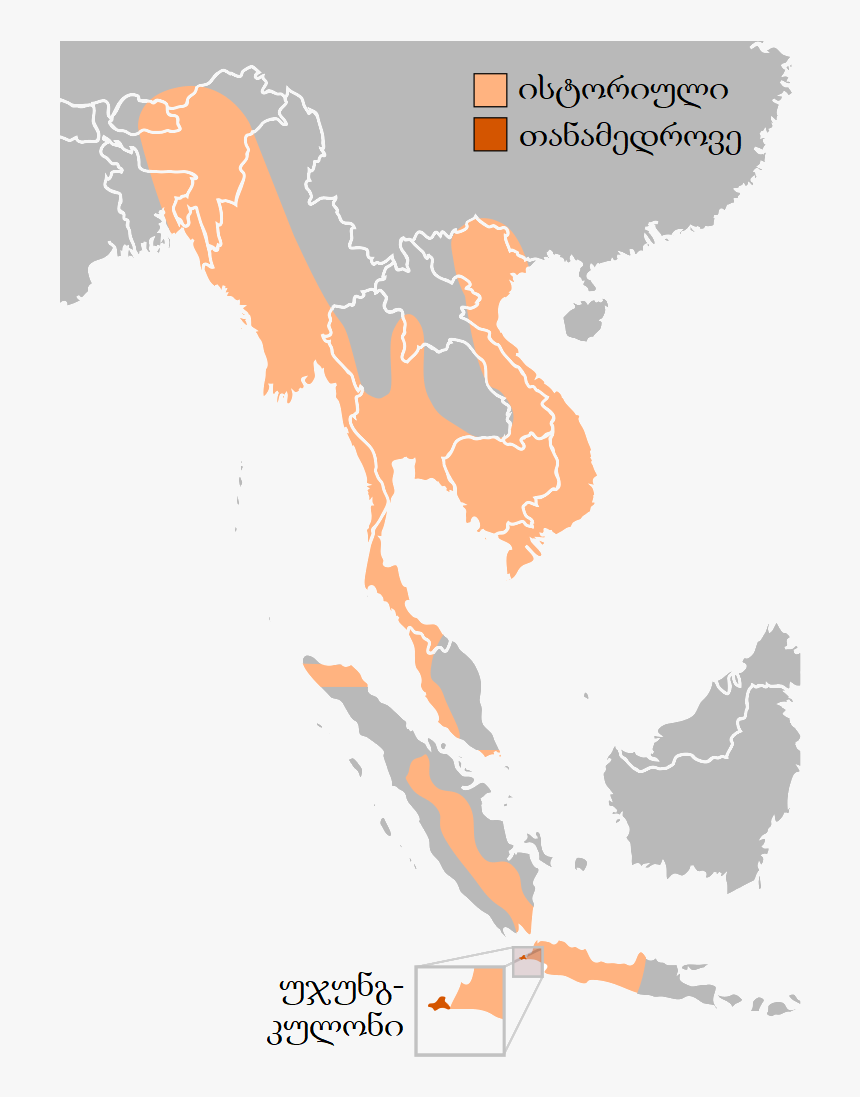 Javan Rhino Range-ka - Javan Rhino Range, HD Png Download , Transparent ...