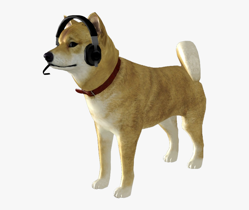 Doge Png, Transparent Png , Transparent Png Image - PNGitem