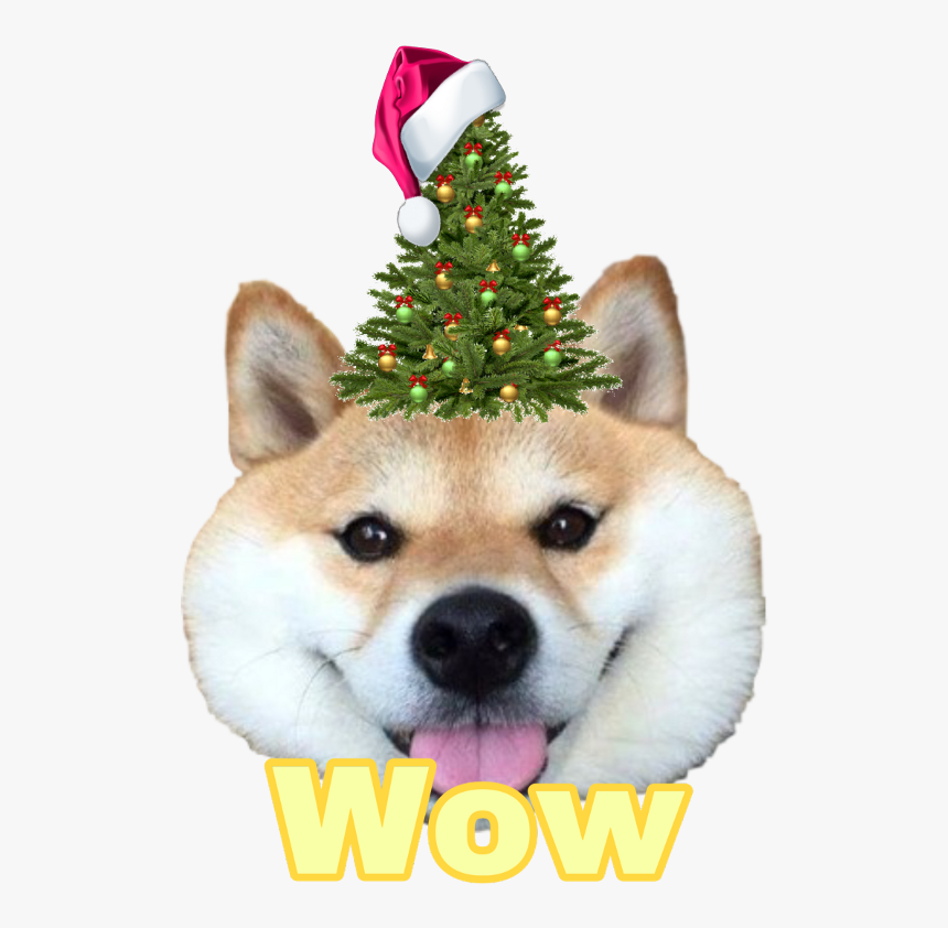 Shibe Transparent Pupper - Dog In A Box Funny, HD Png Download ...