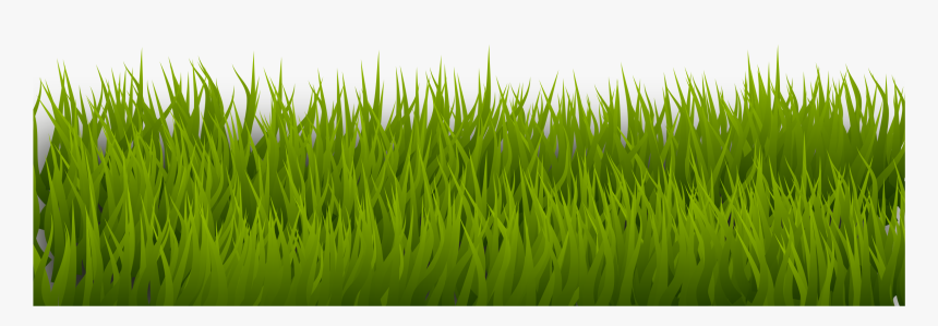 Grass 1 Clip Arts - Grass Drawing Png Transparent, Png Download ...