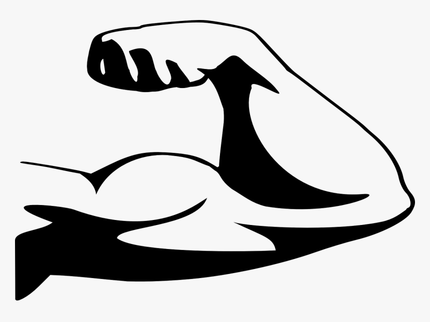 Muscle, Muscular, Athlete, Fitness, Body, Bodybuilder - Muscle Clipart ...