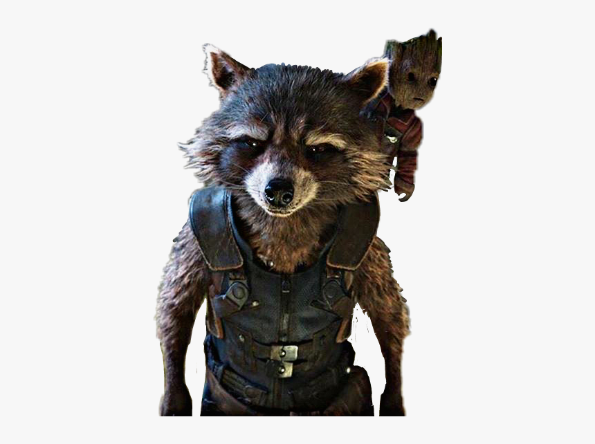 #rocketraccoon #rocket #guardianesdelagalaxia - Full Body Mcu Rocket ...