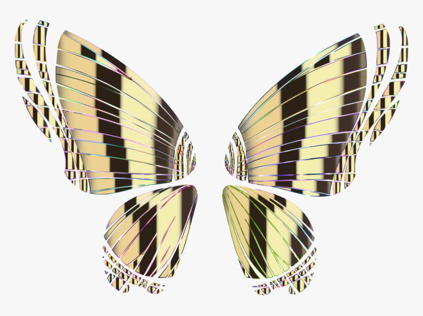 Butterfly,symmetry,moth - Portable Network Graphics, HD Png Download ...
